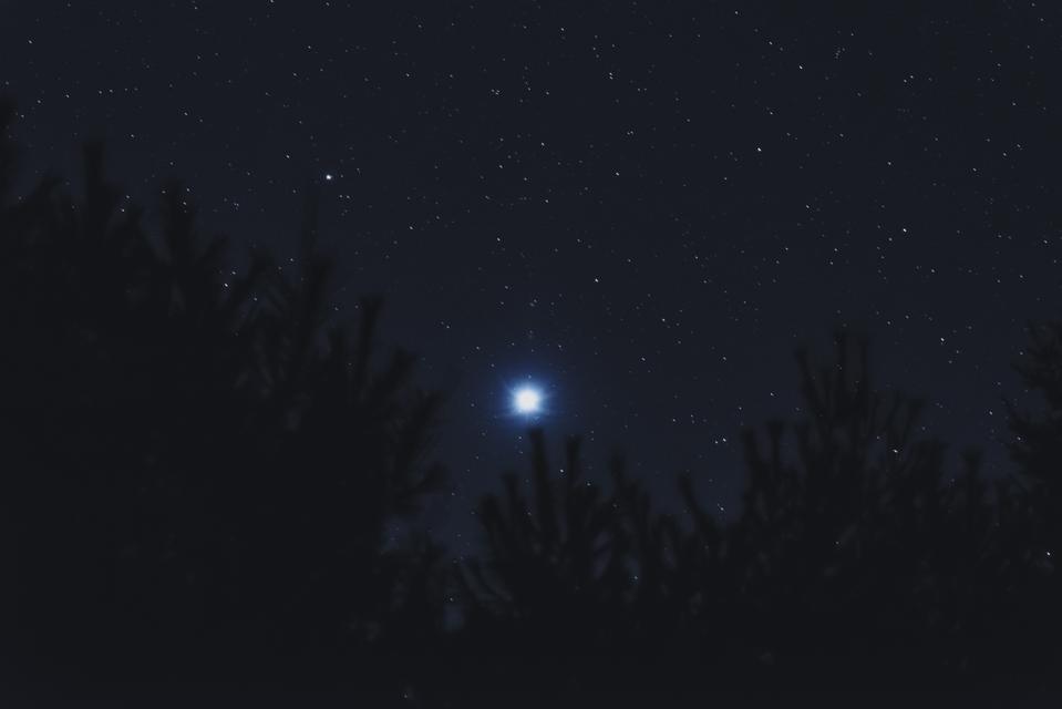 The 'Dog Star', The Brightest Star In The Night Sky, Will Go Dark On ...