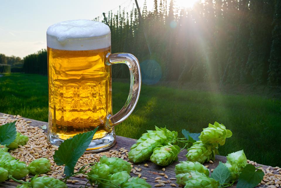 Genetically Engineered Beers Could Make Hoppy IPAs Tastier And Cheaper