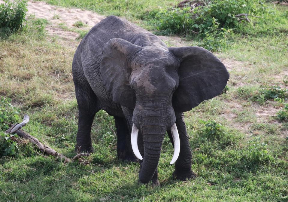 Get The Basics On NoSQL Databases: Content Store Databases