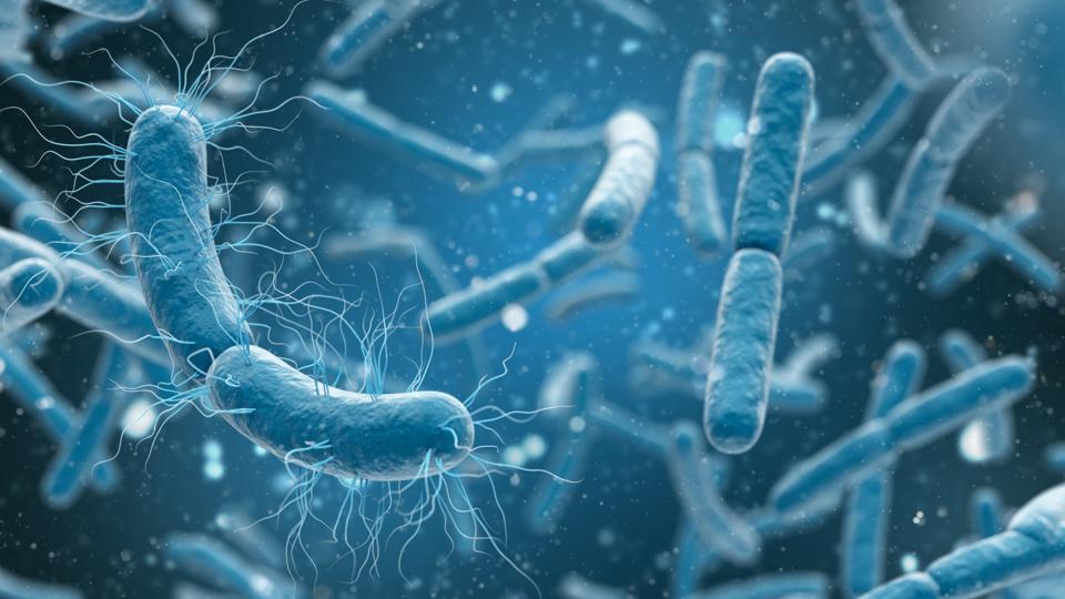 New Technique Could Put Electricity-Producing Bacteria To Work