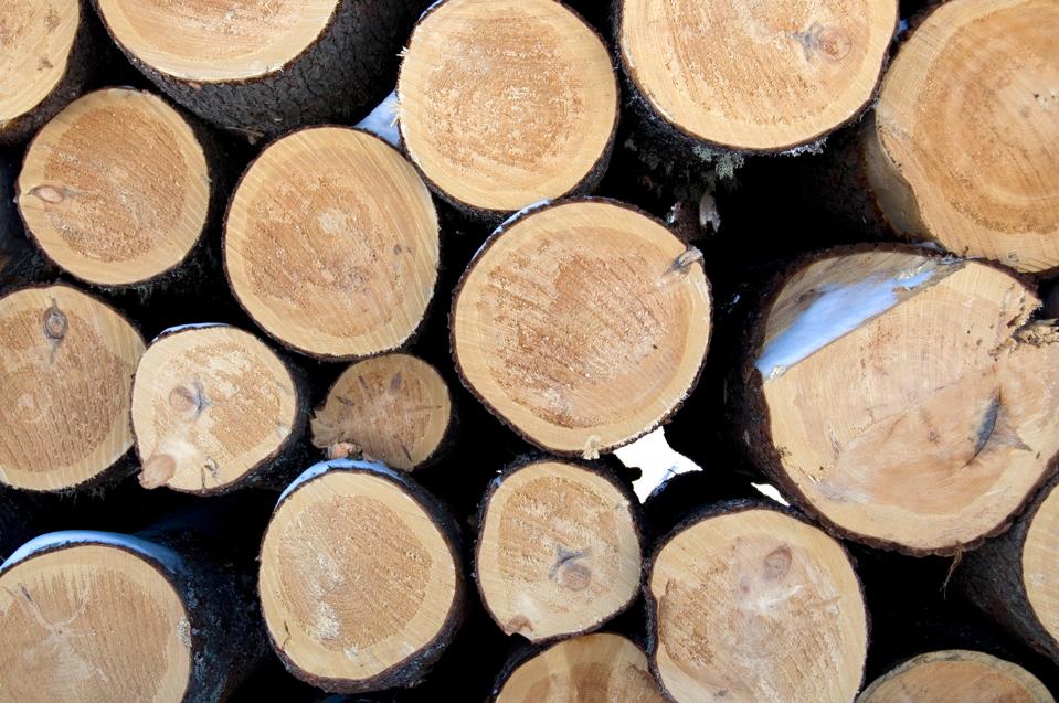 Catchmark Timber Has Returned Over 40% Year-To-Date