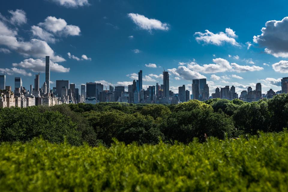 Urban Tree Cover Saves The U.S. Up To $12 Billion Annually
