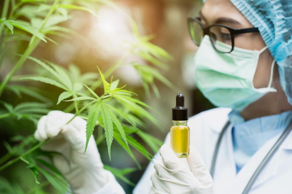 Retailers See Promise In CBD And Hemp Products