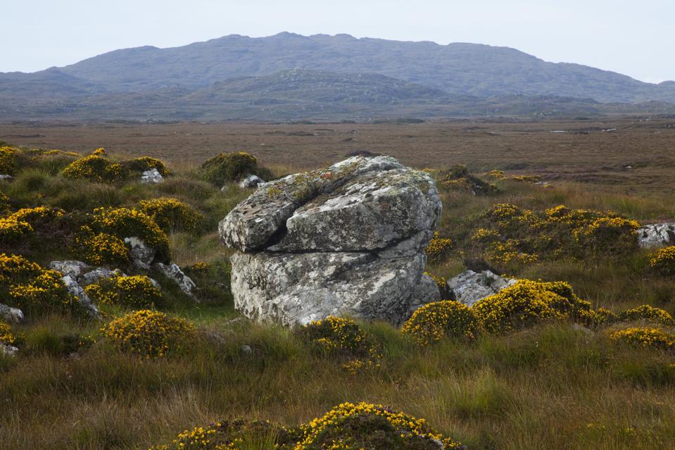 Walk On Ireland's Wild Side Between Burren And Bog