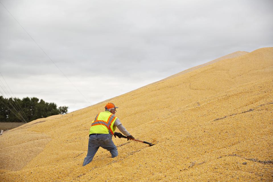 Volunteers Dwindling To Help Rural Seniors As Baby Boomers Swell Ranks ...