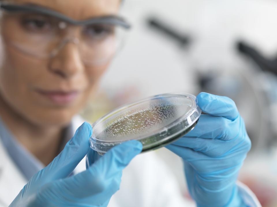 Gut Microbiome 'Fingerprint' May Predict Susceptibility To Debilitating ...