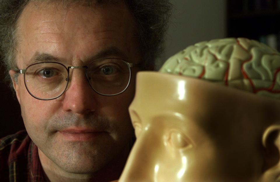 Stimulating The Brain Reduces Intention To Commit Violence And Sexual ...