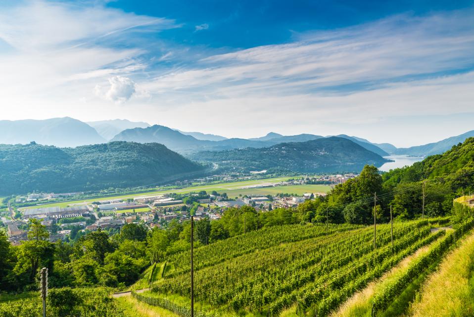 Why Swiss Wines Continue To Impress
