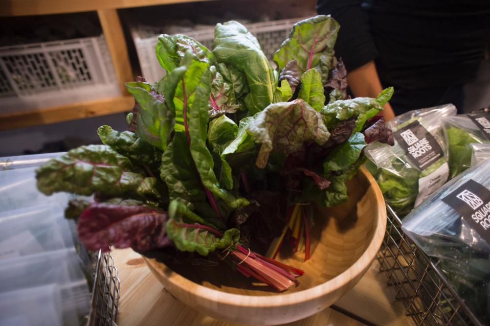 How Urban Indoor Farming Technology Is Changing