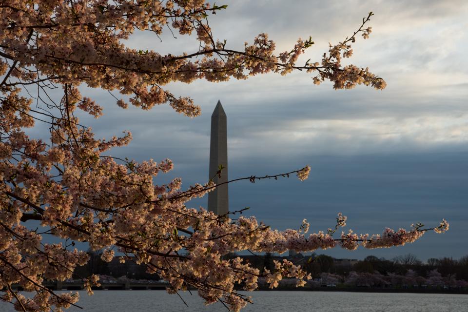 Amazon HQ2: Everything You Need To Know About The 20 Finalists