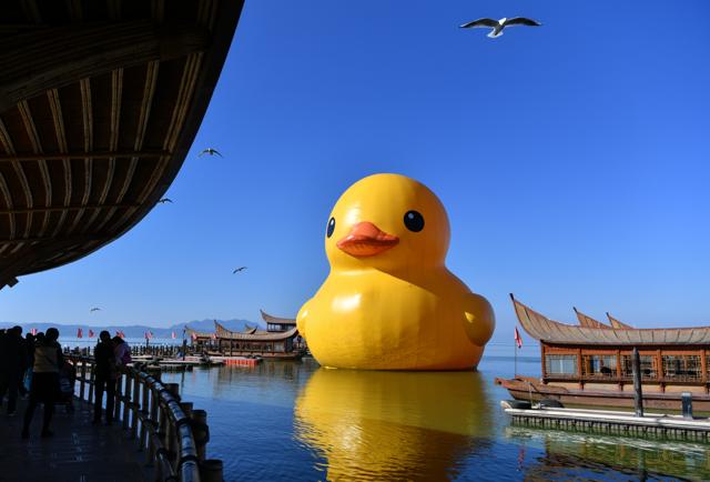 Here Is How Yucky Your Rubber Ducky May Be