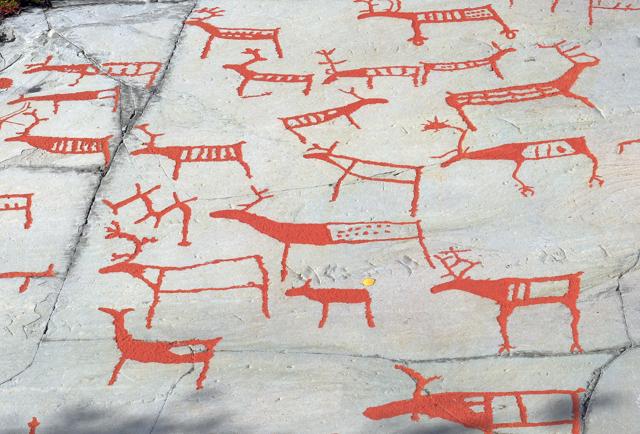 Winter Wonders: The Remarkable Science Of Reindeer