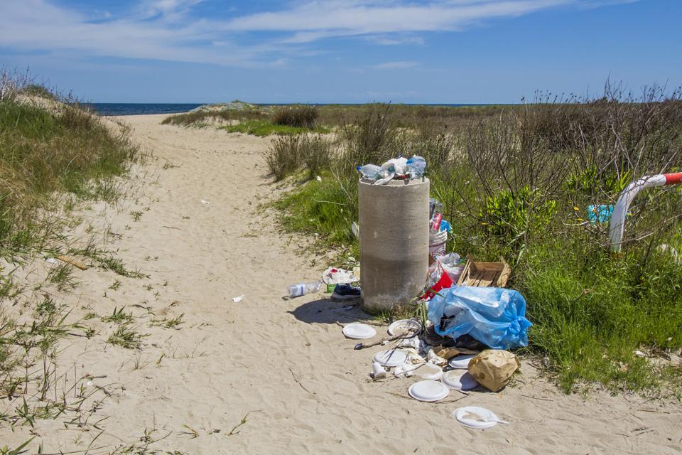 New Guide Reveals How The Travel Industry And Travelers Can Reduce ...