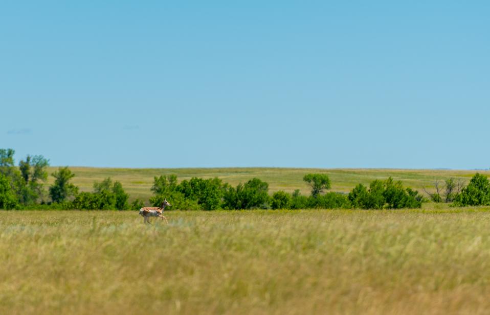 Alleged Syndicated Conservation Easement Tax Shelter Promoters Face ...