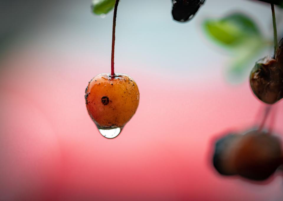 How To Make Your Angular Unit Tests 2.5x Faster