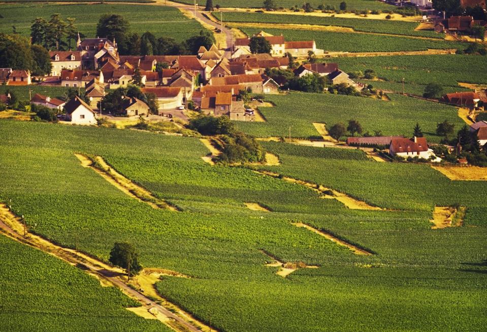 Visiting The Burgundian Wine Region of Gevrey-Chambertin