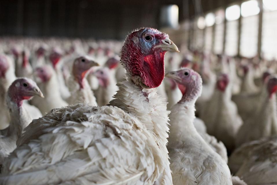 A Year Into The Oil Bust, America's Frackers Have A Few Reasons To Be ...