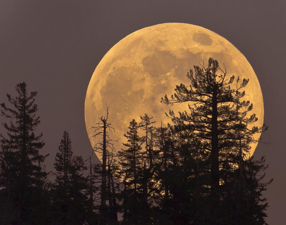 See The ‘Super Blue Moon’ Rise With Saturn: The Night Sky This Week
