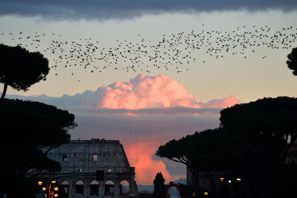 Rome's Starling Patrol: Five Texas Falcons Mop Up The Eternal City