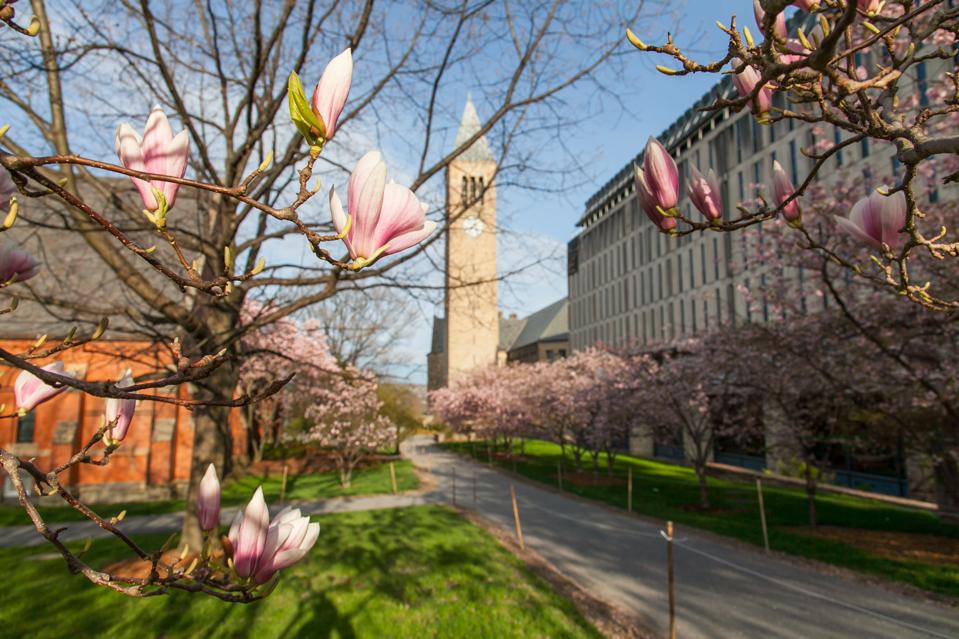 America's Top 'Green' Colleges