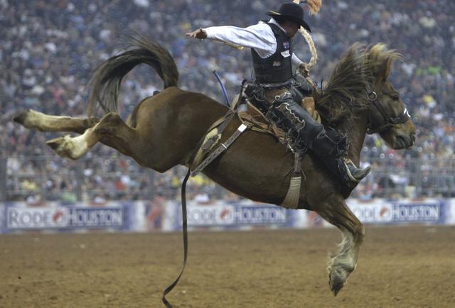 The Houston Rodeo Has Returned For Its 86th Year