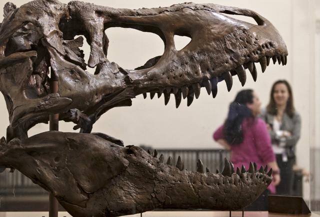 A Tyrannosaurus Rex Bite Was Even More Terrifying Than You Think