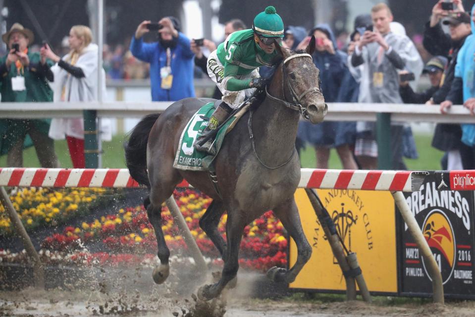 Exaggerator Wins 2016 Preakness, Rains on Nyquist's Triple Crown Run