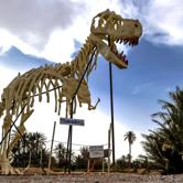 David Thomson & family