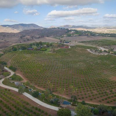 At $92 Million, Del Dios Ranch Debuts As San Diego's Most Expensive ...