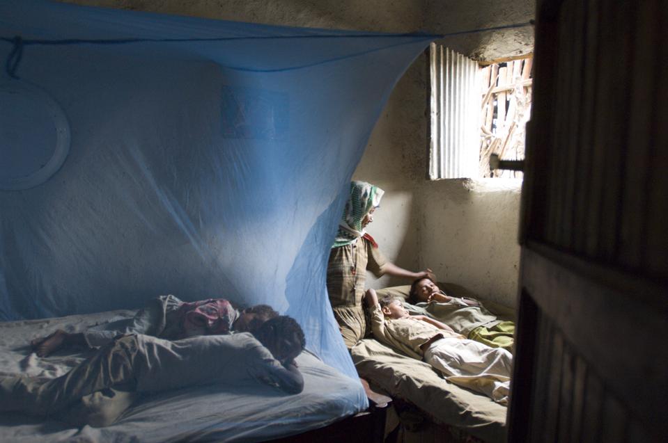 From Malaria To Sickle Cell Disease: How Gene Editing Technology May ...