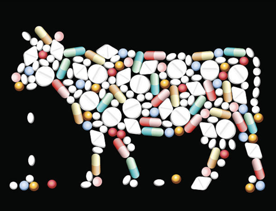 Folium Science Uses CRISPR To Remove Antibiotics In Livestock