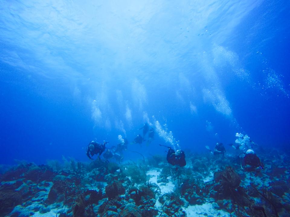 Wrecks, Reefs, And Rays: Scuba Diving In Barbados