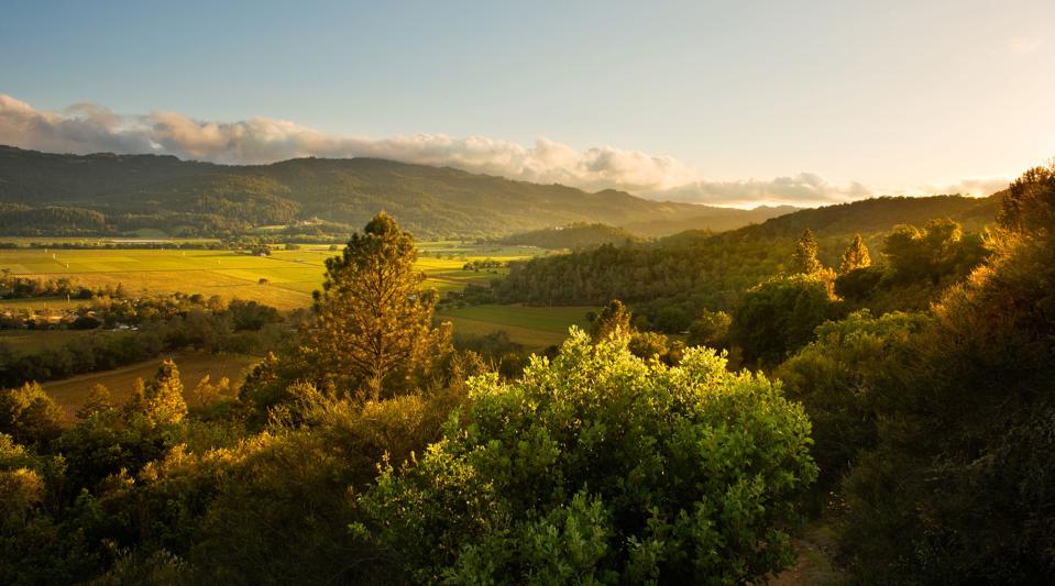 Calistoga Ranch Is A Nature Lover’s Dream In Napa Valley