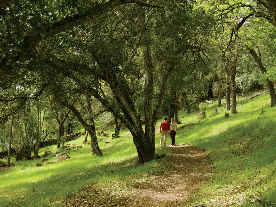 Calistoga Ranch Is A Nature Lover’s Dream In Napa Valley