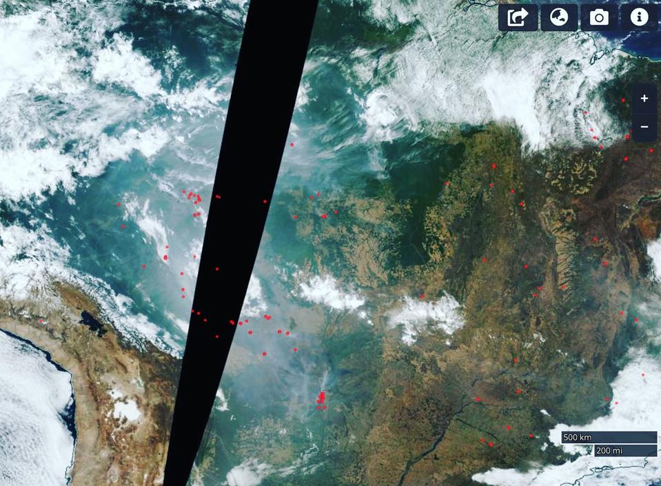 You Probably Know The Amazon Is Burning - Here's Why It Matters To You