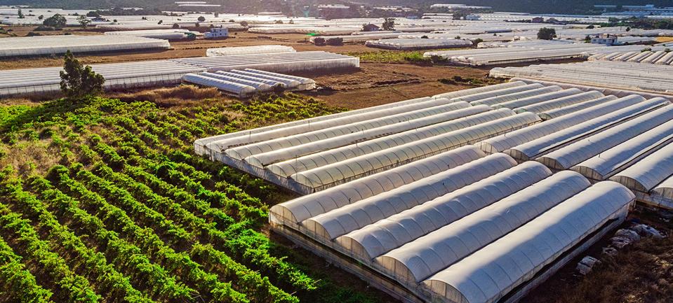 Accenture And Amazon Managed Blockchain Connecting Small-Scale ...