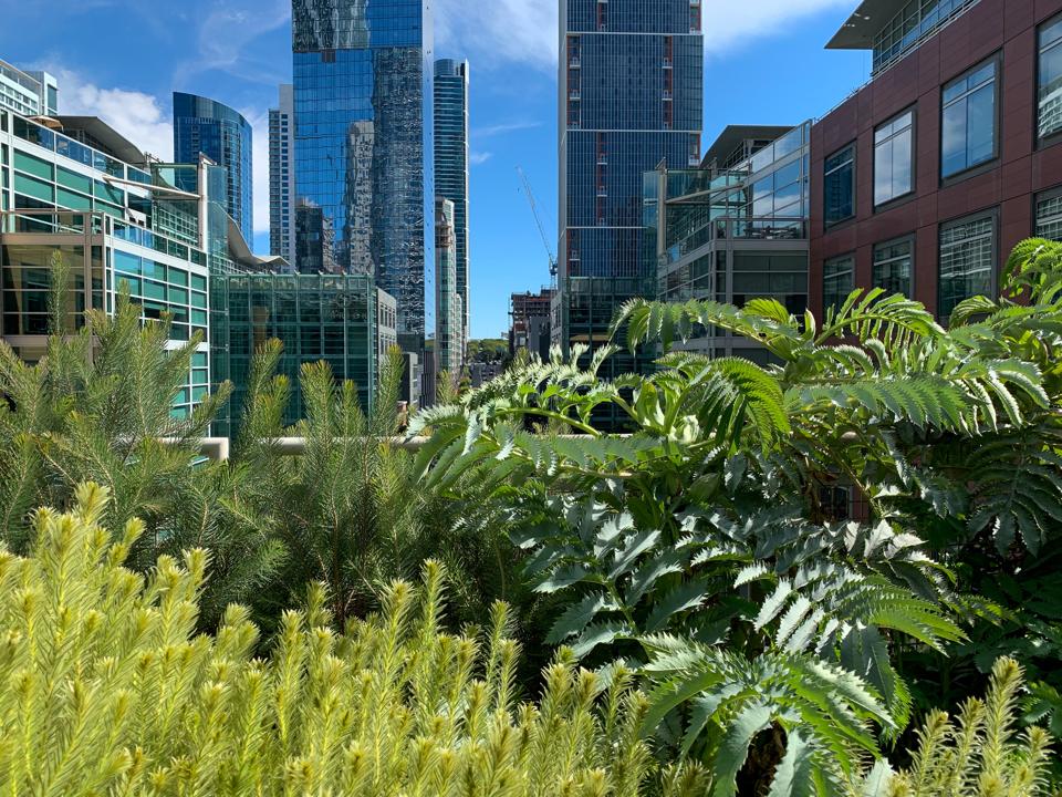 Ambitious Transport Infrastructure And A World-Class Park: How San ...