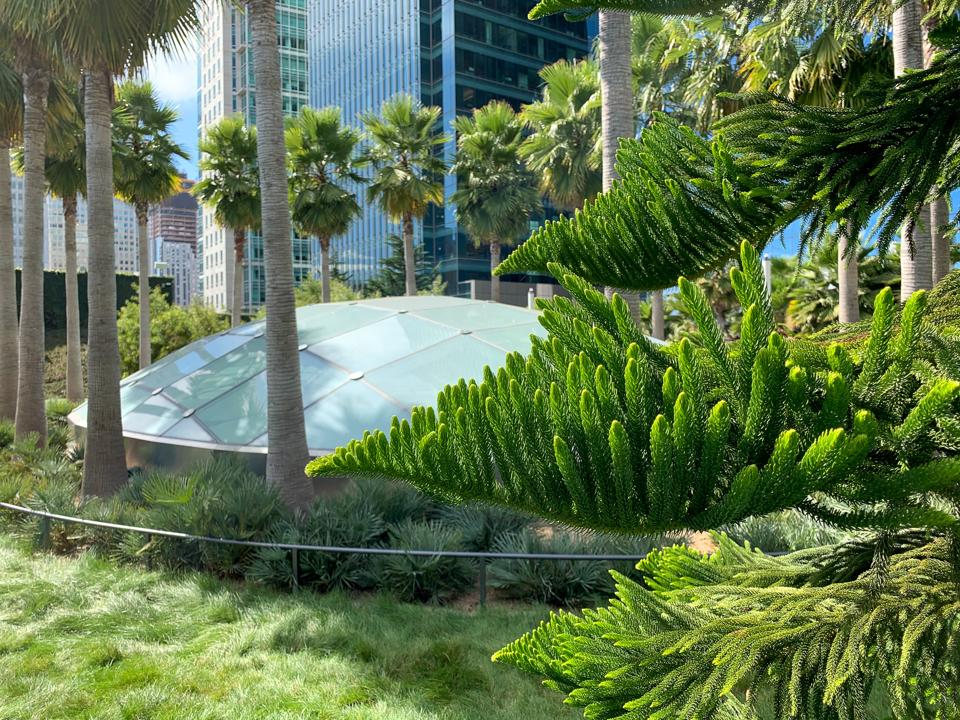 Ambitious Transport Infrastructure And A World-Class Park: How San ...