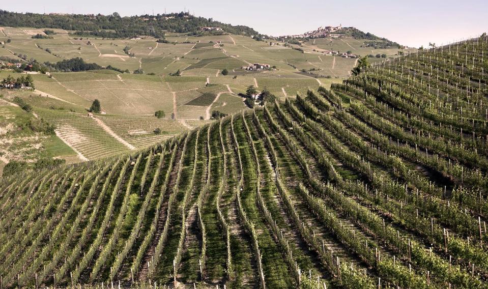 Prunotto: Tuscan Owners Now Oversee The Legendary Piemontese Winery