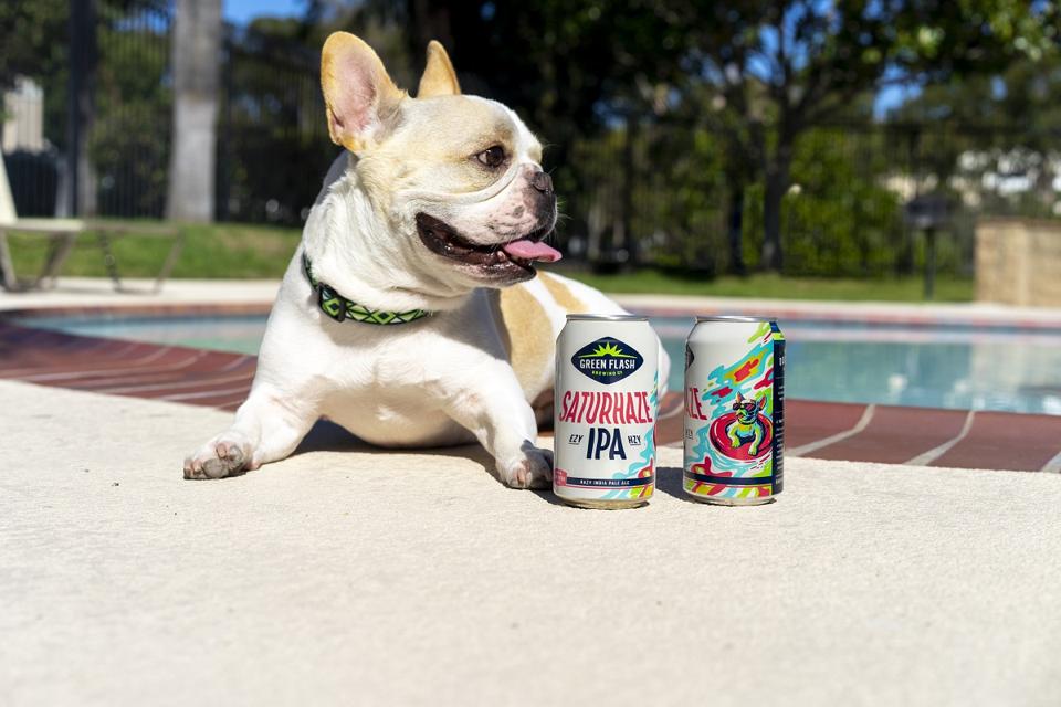 Green Flash Beer Quietly Returns To East Coast After Closing VA Beach ...