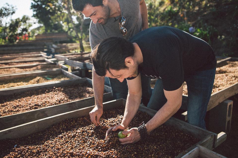 The Future of the Specialty Coffee Industry: A Q&A With The Founders of ...