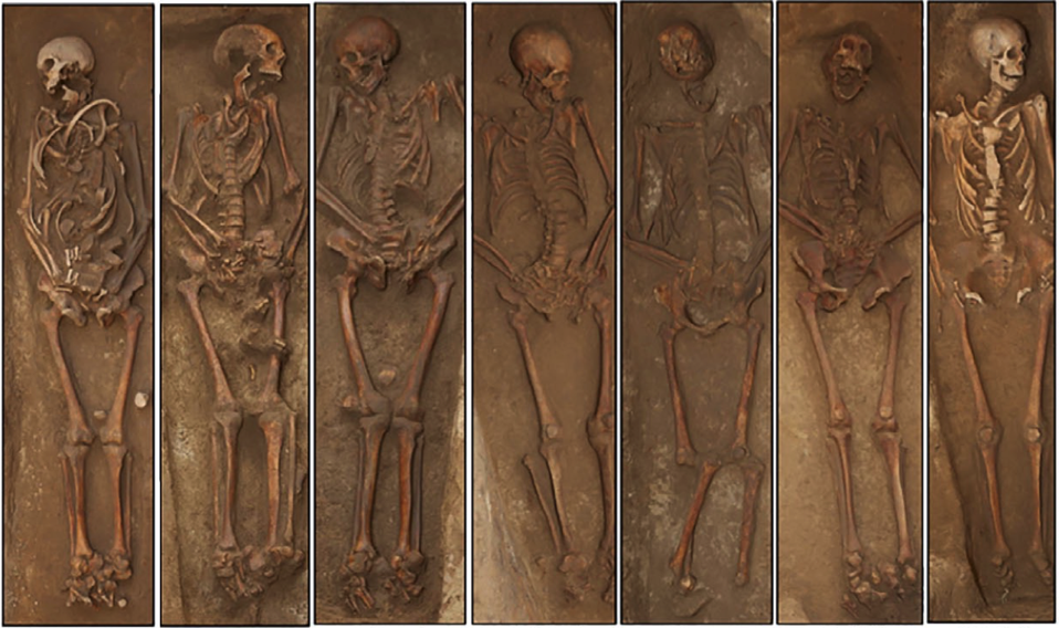 DNA Analysis From Colonial Delaware Skeletons Reveals Beginning Of ...