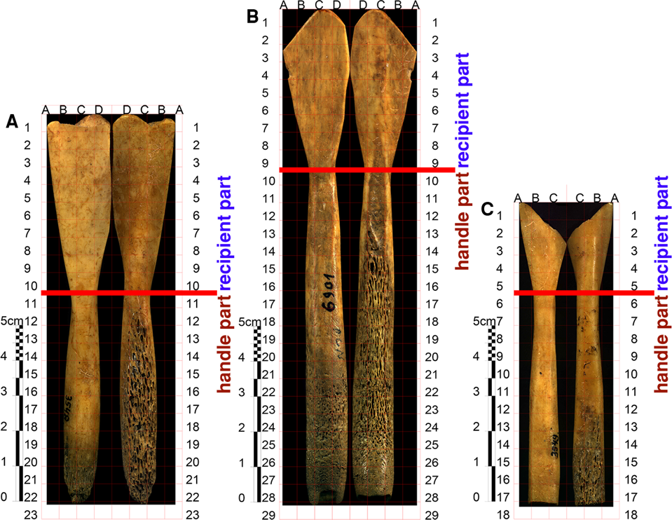 Prehistoric Parents Let Their Babies Teethe On These Bone Spoons