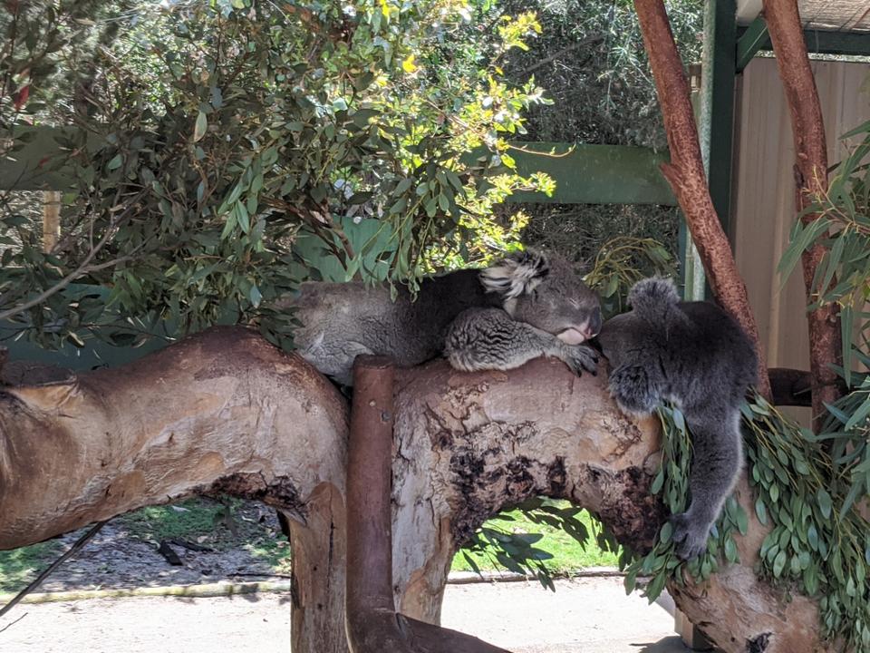 The Best 10 Things To Do In Western Australia