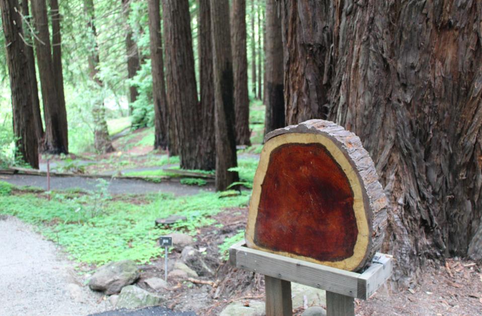 A Feast For The Senses: A Weekend Guide To Berkeley, California