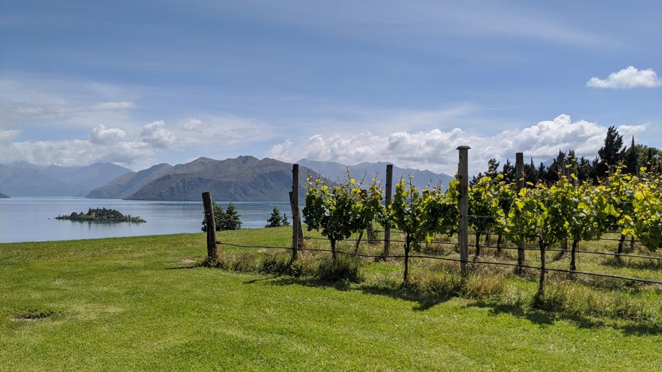 One Of The Most Stunning Wineries, Grounded In Indigenous Values