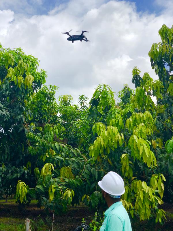 This Aspiring Doctor Turned Drone Entrepreneur Is Making Farming Better ...