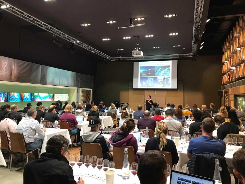 Master of Wine Program: Is It Right for You?