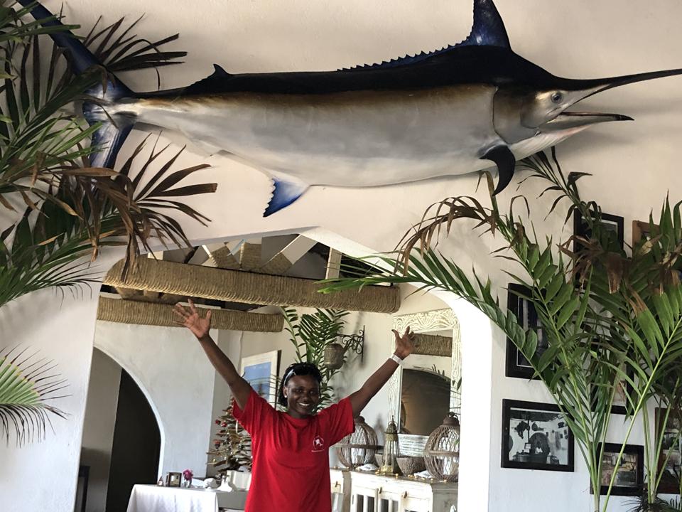 This Kenyan Marine Biologist Grew Up 17 Hours Away From The Ocean