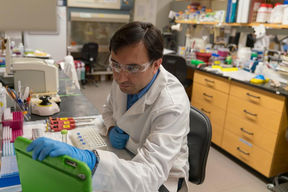 What’s It Like To Study A Coronavirus? This Colombian Knows.